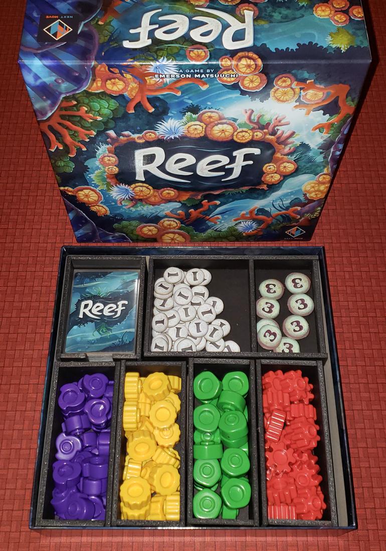 Reef | Insert Here